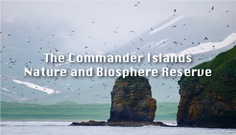 International Alliance of Protected Areas (IAPA)